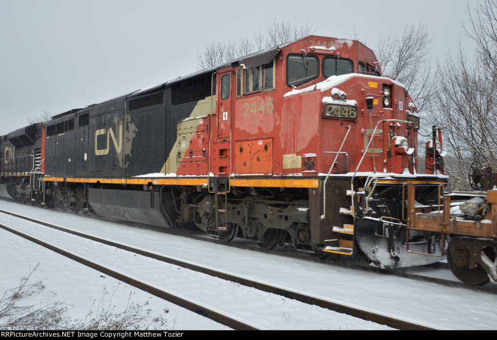 CN 2446